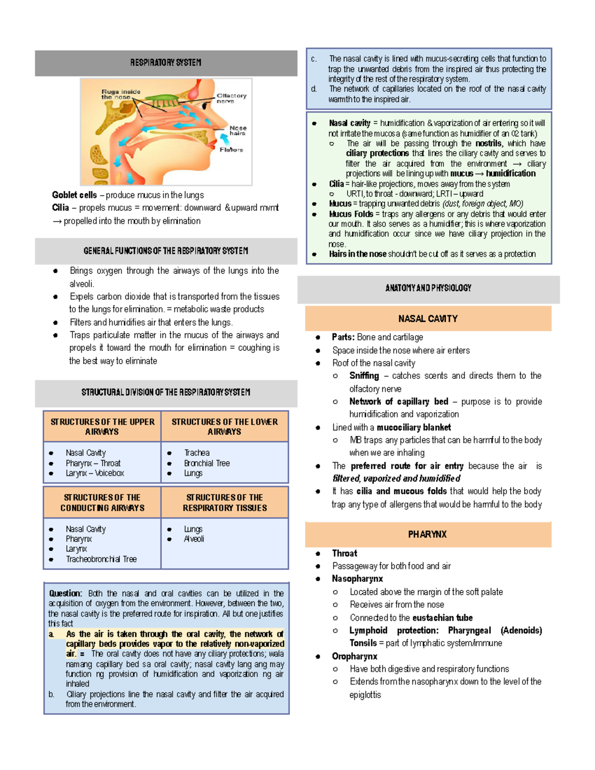Respi - Notes - RESPIRATORY SYSTEM Goblet cells – produce mucus in the ...