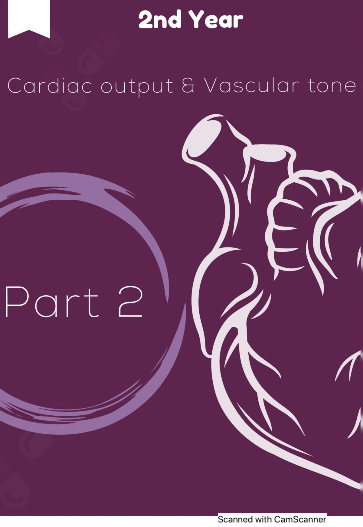 Cvs 2-1 - cardiovascular system physiology - Physiology - Studocu