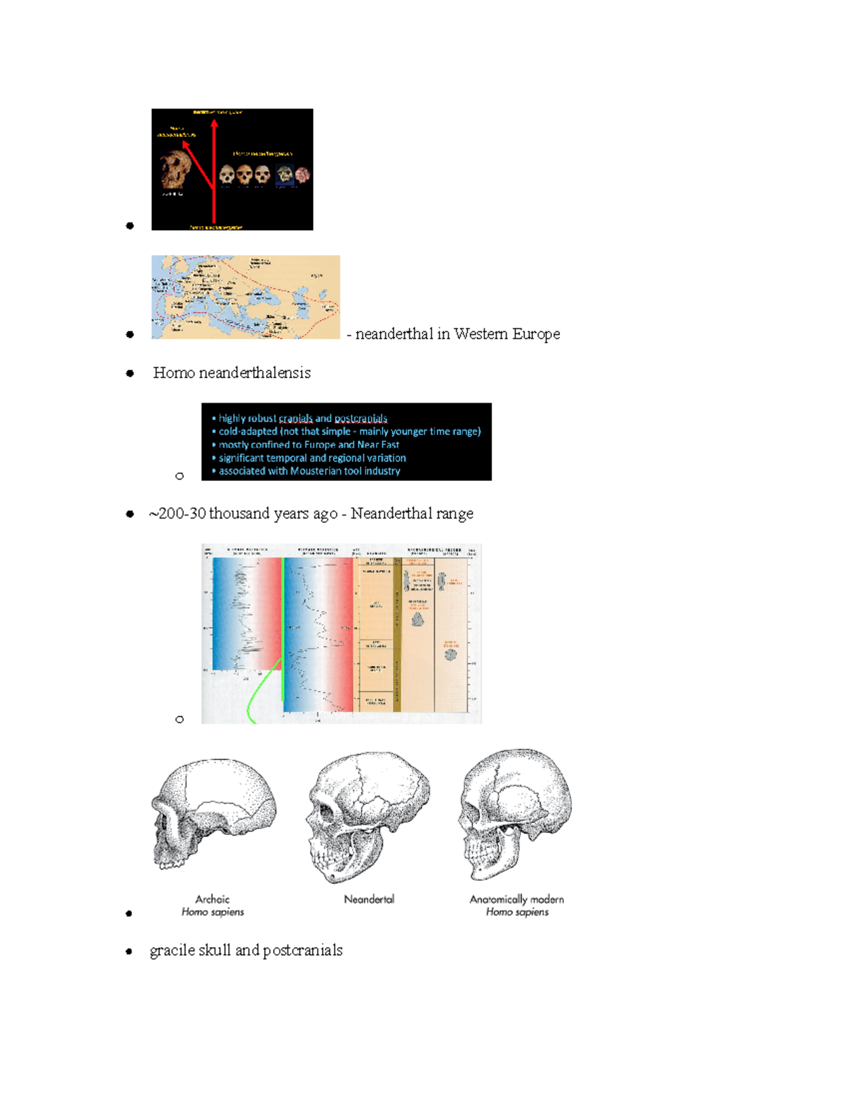 ANT 102 - 12 5 Class Notes - - neanderthal in Western Europe Homo ...