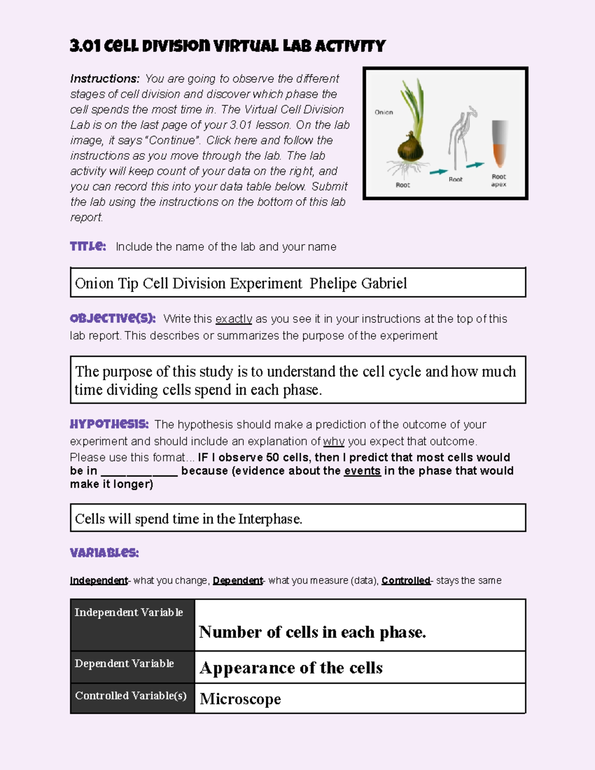 Cópia de 3 01 Lab Report Template v23 - 3 Cell Division Virtual Lab ...