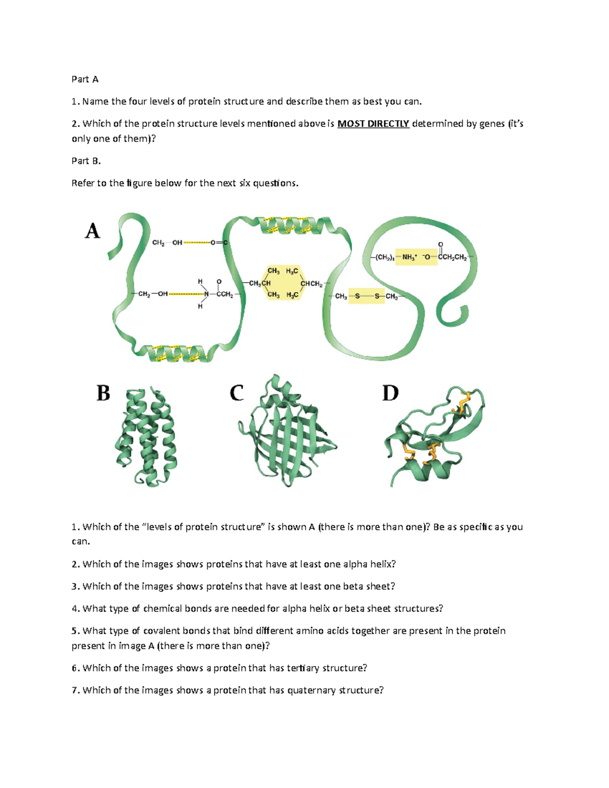 Out of class activity Unit 3 proteins - Part A Name the four levels of ...