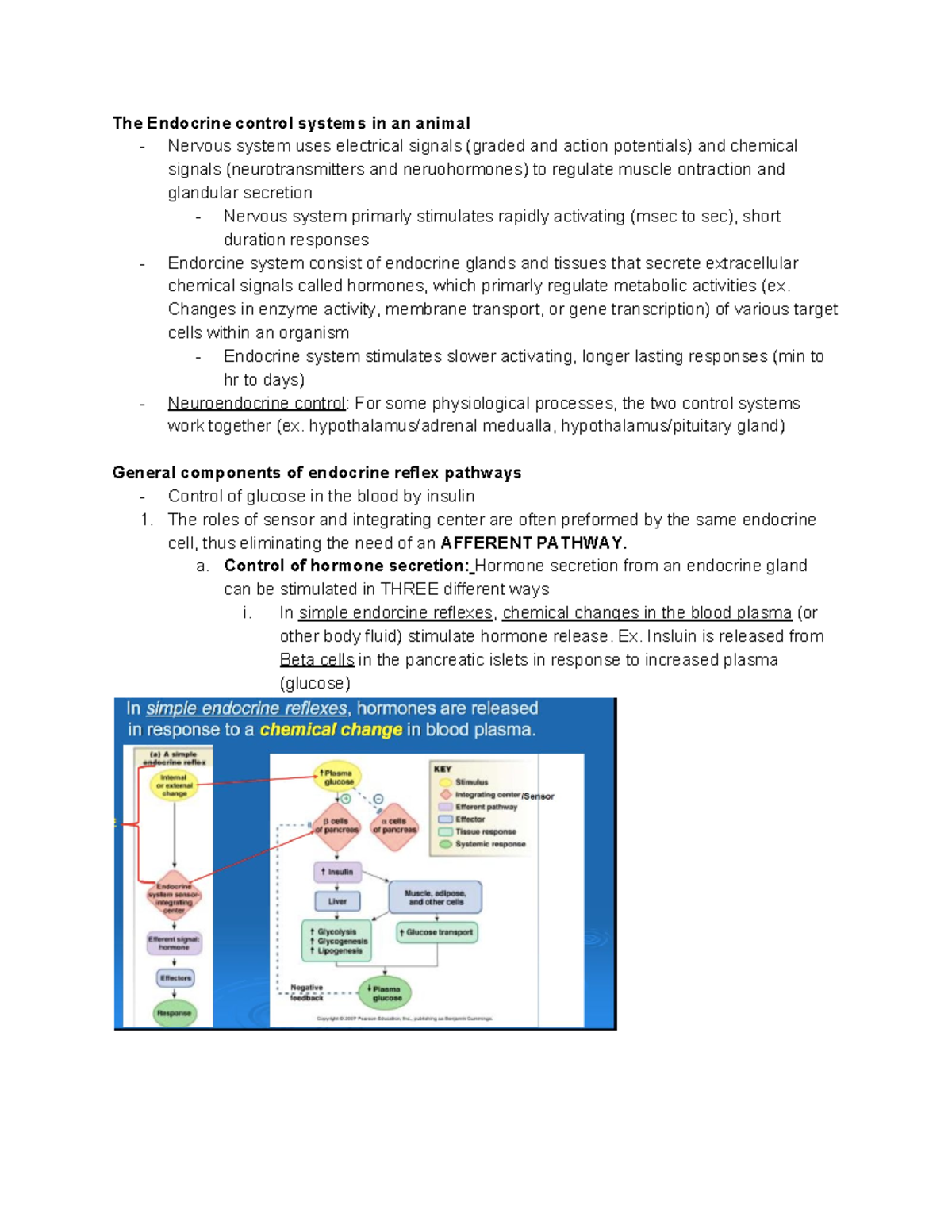 Lecture 7 Endocrine Hormones and intracellular - The Endocrine control ...