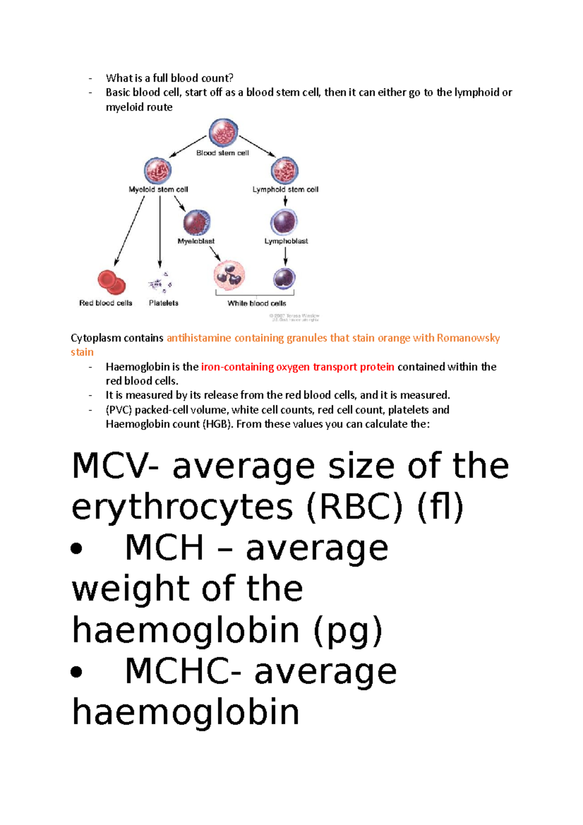 L1-Automated haem - haemotology - What is a full blood count? Basic ...
