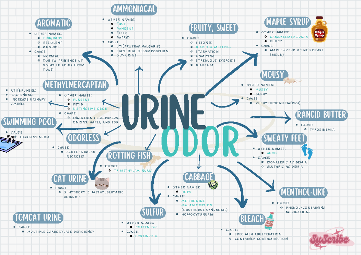 Clinical Microscopy- urine odor - SyScribeSyScribe cause: KETONES ...