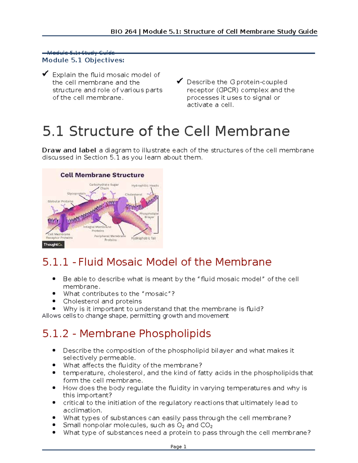 5.1 study guide - Module 5 Objectives: Explain the fluid mosaic model ...