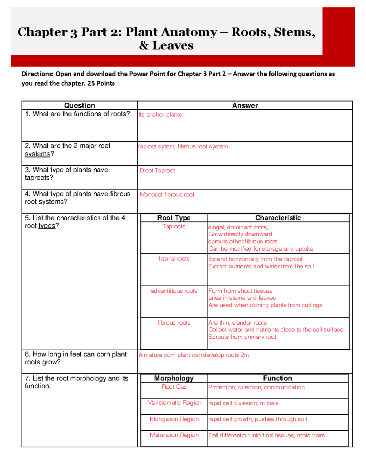 Ch. 3 Part 2 Lecture Questions - Directions: Open and download the ...