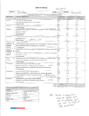 Escala de Zarit - instrumento de evaluacion - - Studocu