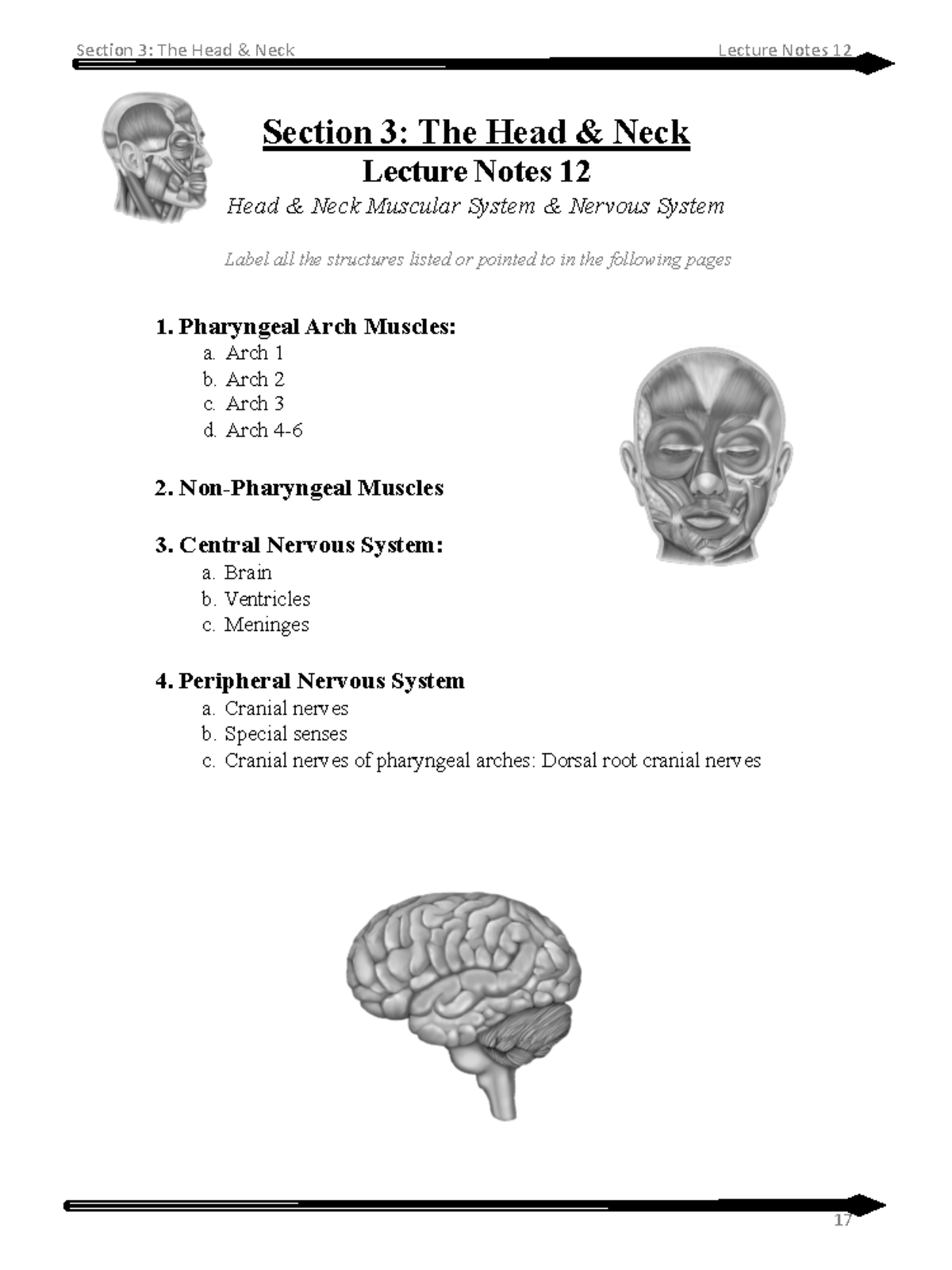12- Lecture 12-HN mm nn - PDF NOTES - Lecture Notes 12 Section 3: The ... 12- Lecture 12-HN mm nn - PDF NOTES - Lecture Notes 12 Section 3: The ...