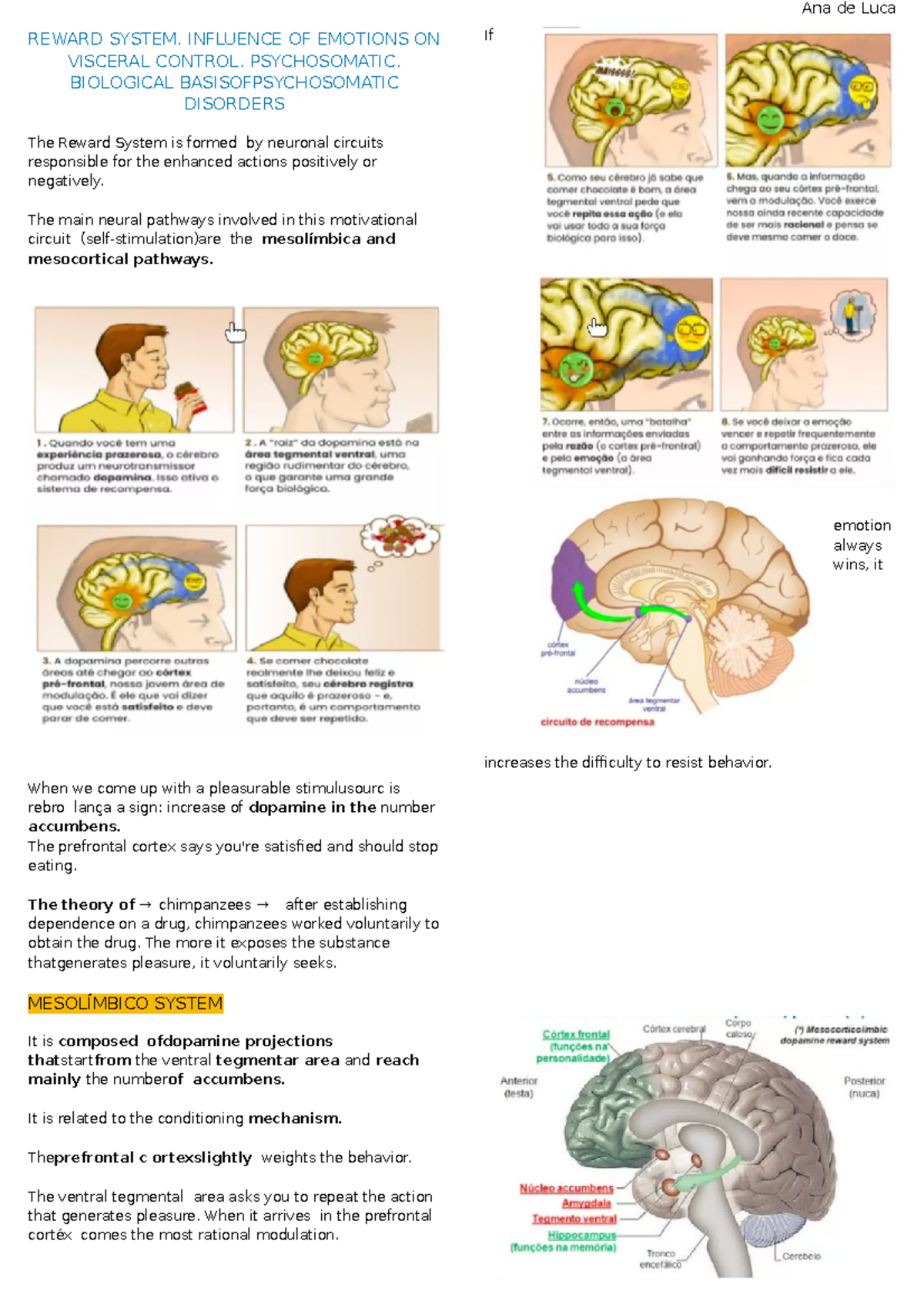 Reward system - Clinical Psychology - REWARD SYSTEM. INFLUENCE OF ...