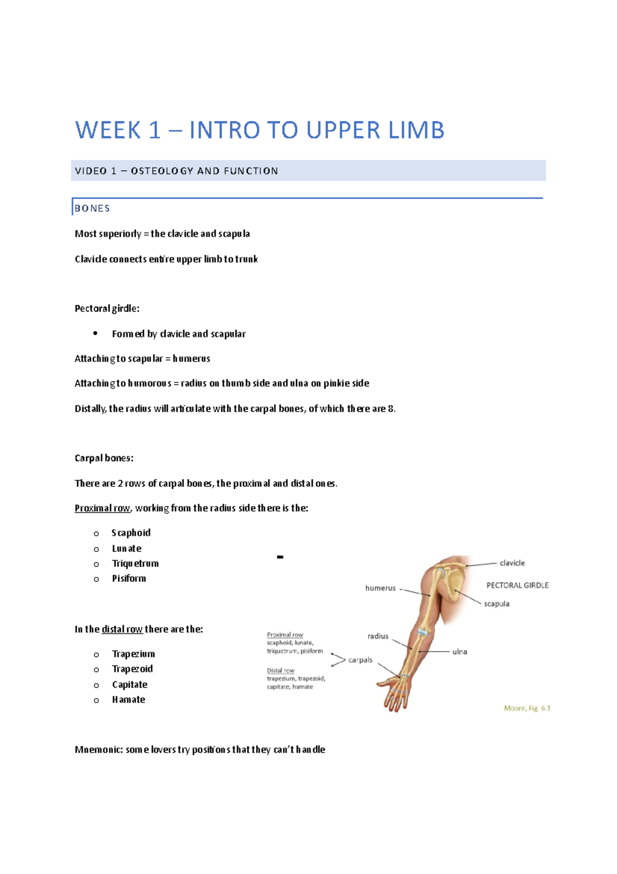 (WK1) intro to upper limb - WEEK 1 – INTRO TO UPPER LIMB VIDE O 1 ...