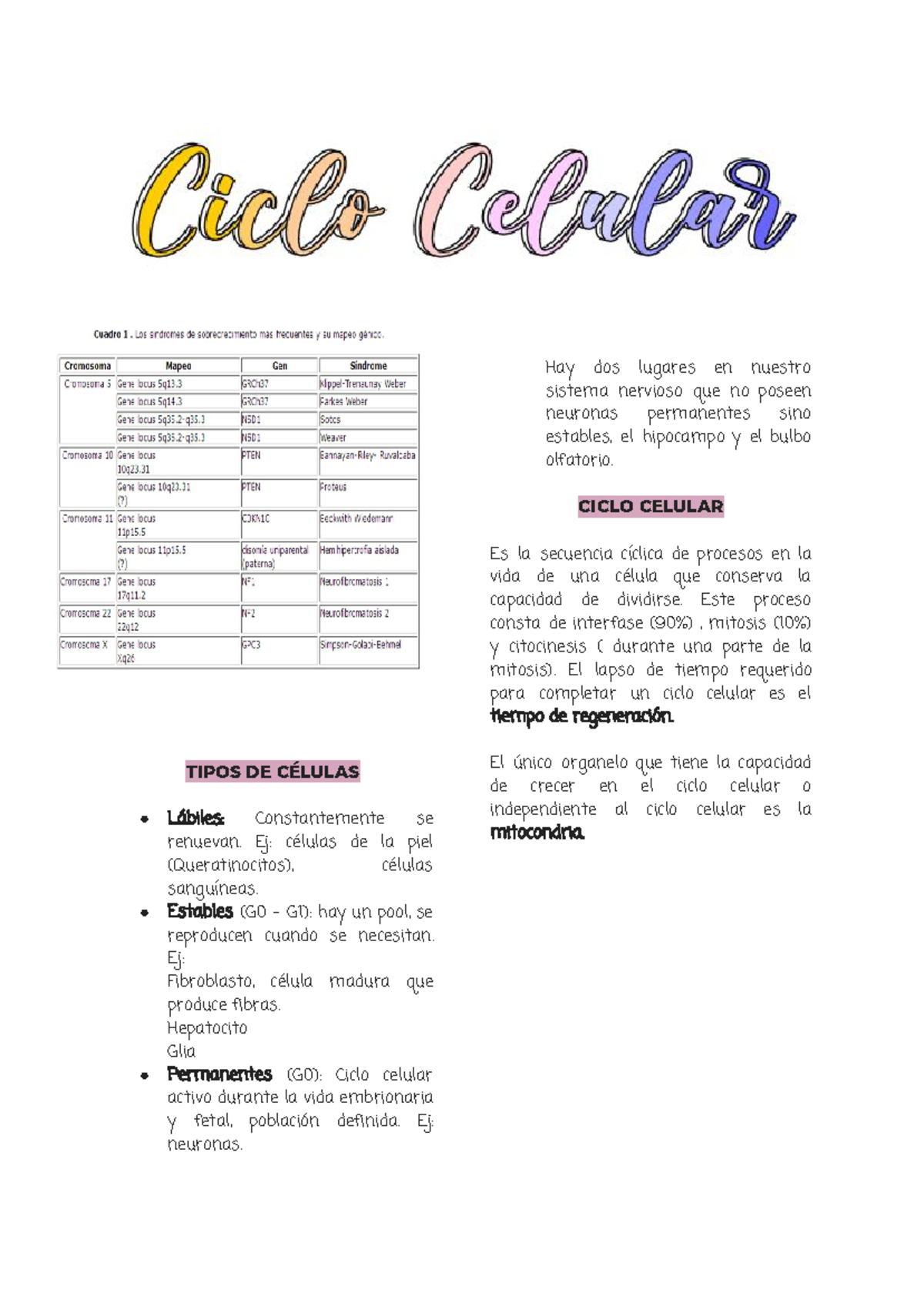 Ciclo Celular - TIPOS DE CÉLULAS Lábiles: Constantemente se renuevan ...