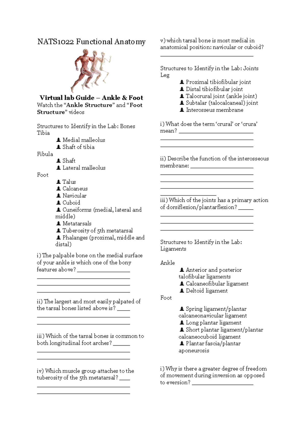 NATS1022 Functional Anatomy Lab Guide 4 - NATS1022 Functional Anatomy ...