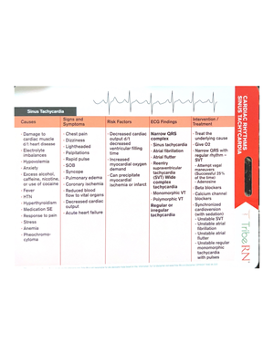 Clinical Nursing Care Plan - Litzy Rivera-Delgadillo Assessment CUES ...