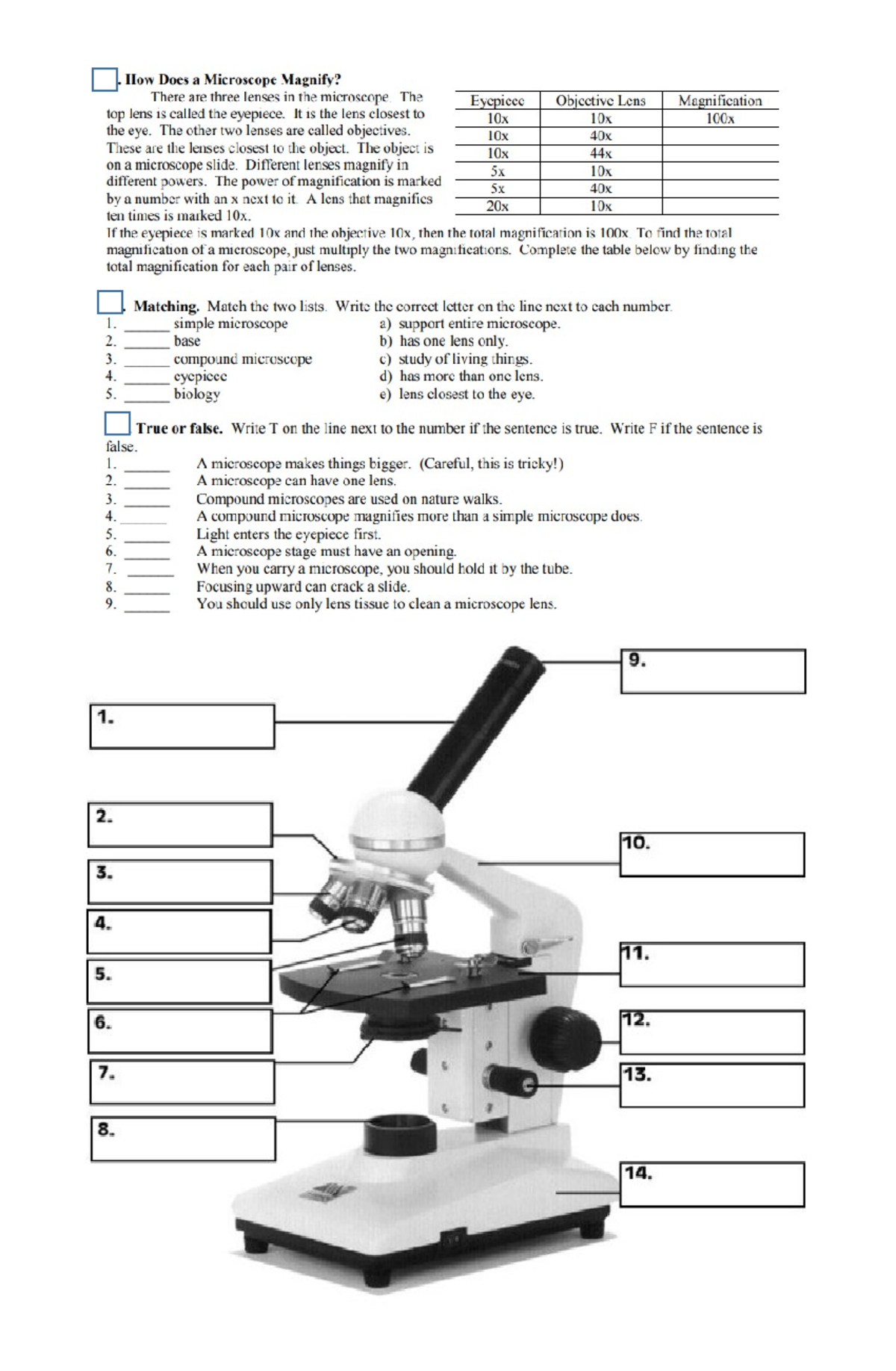 Microscope - N/A - Bachelor of Secondary Education - Studocu