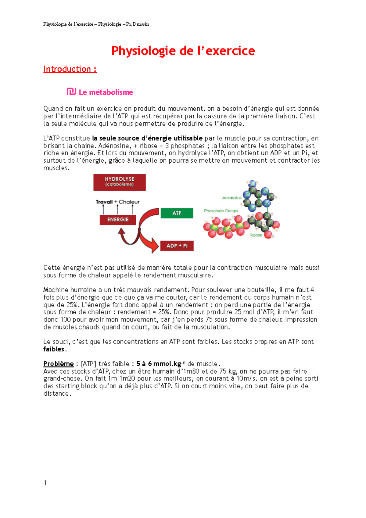 Physiologie de l'exercice - Physiologie de l’exercice Introduction : ₪ Le métabolisme Quand on ...