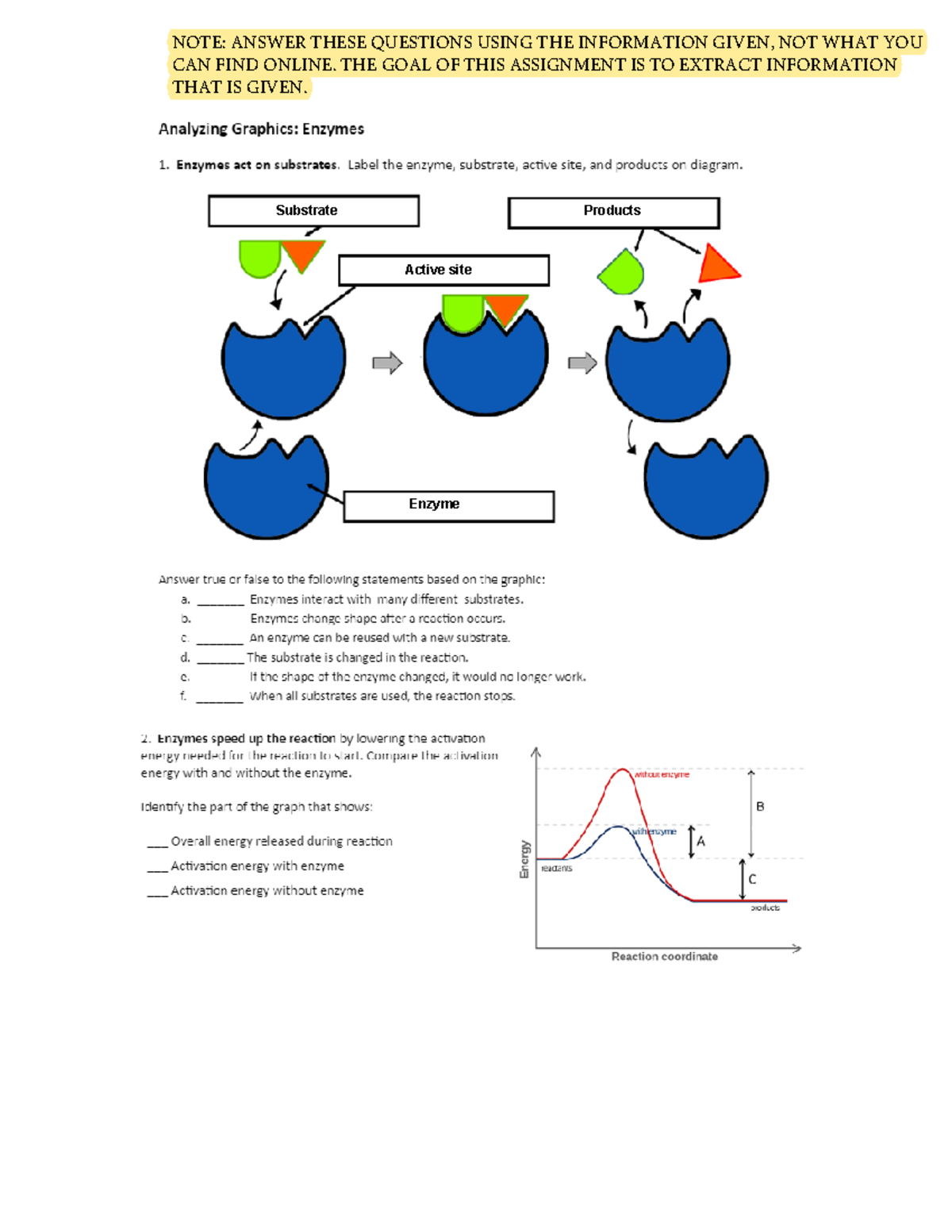 Enzyme assignment - NOTE: ANSWER THESE QUESTIONS USING THE INFORMATION ...