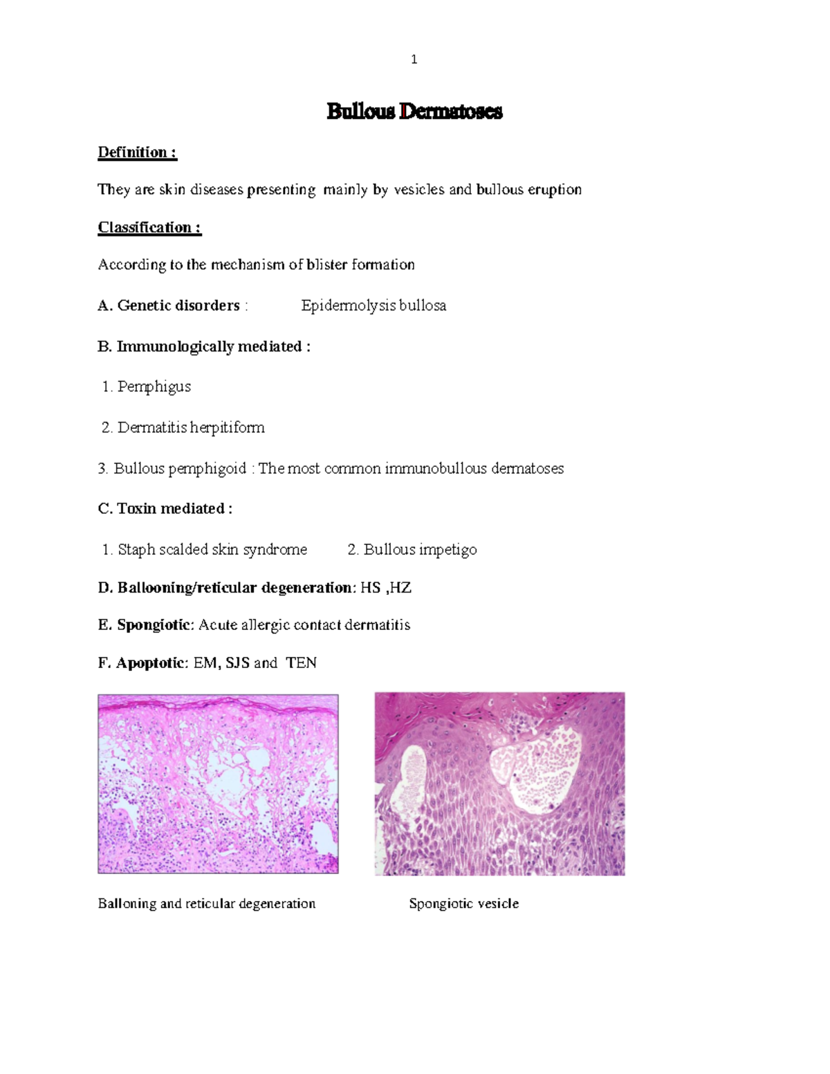 Bullous dermatoses - Dermatology - Definition : They are skin diseases ...