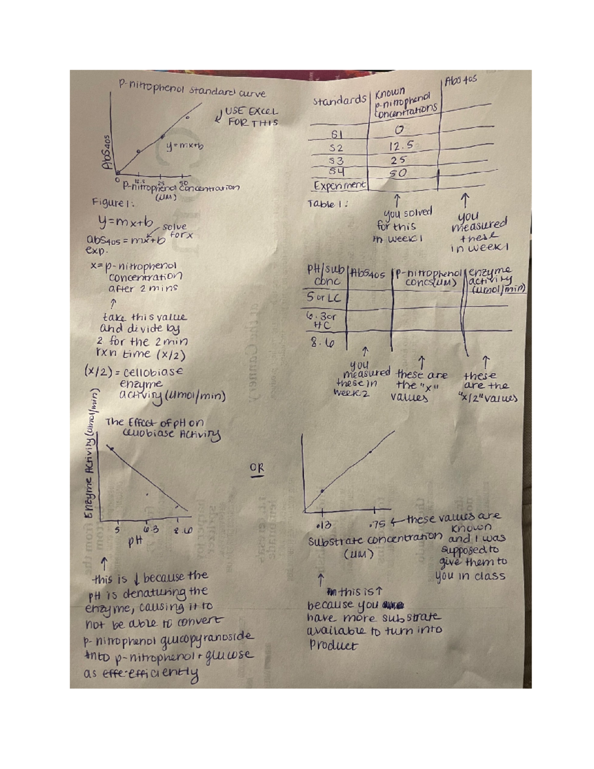 Lab report necessary figures - These are all the figures that you need ...
