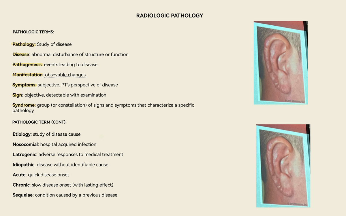 Terms - RADIOLOGIC PATHOLOGY PATHOLOGIC TERMS: Pathology: Study of ...