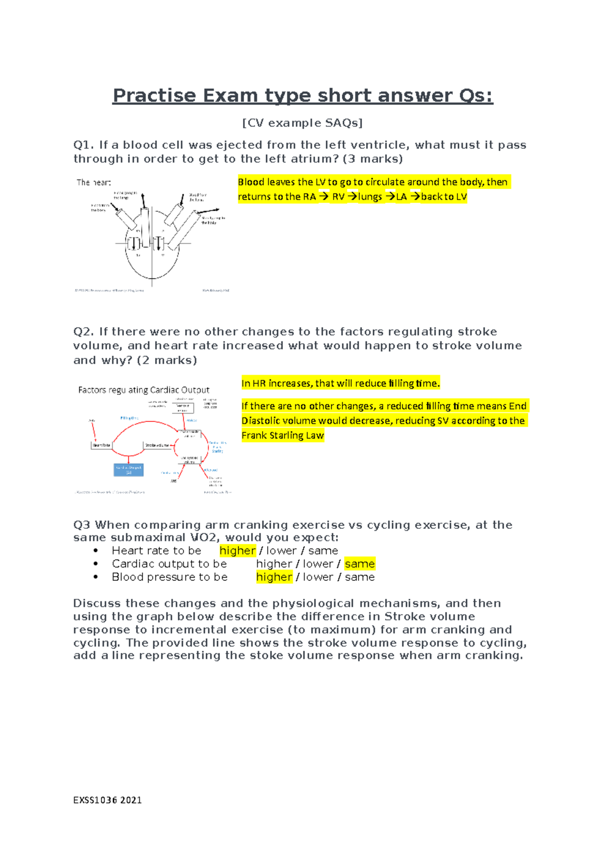 Practise CV and Resp Qs with Answers - Practise Exam type short answer ...