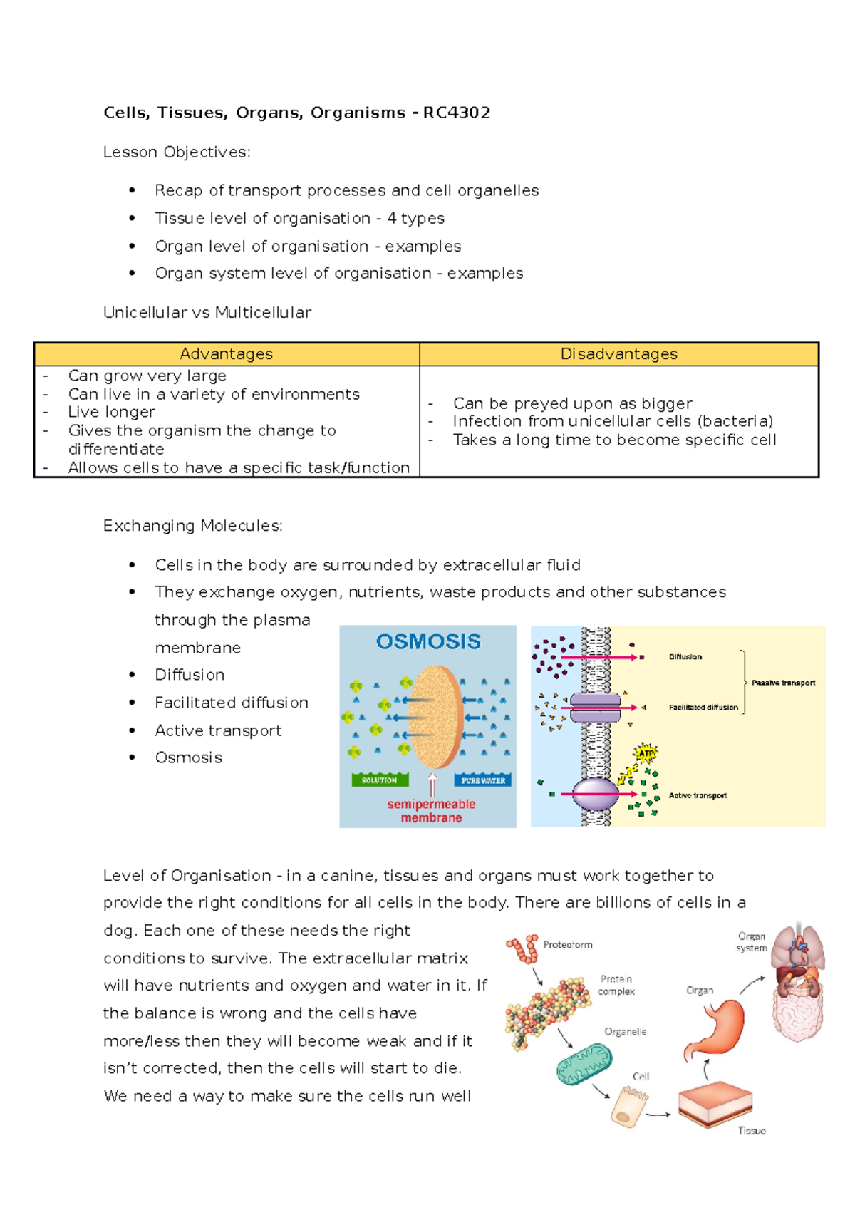 Lesson 3 - Cells, Tissues, Organs, Organelles - Cells, Tissues, Organs ...