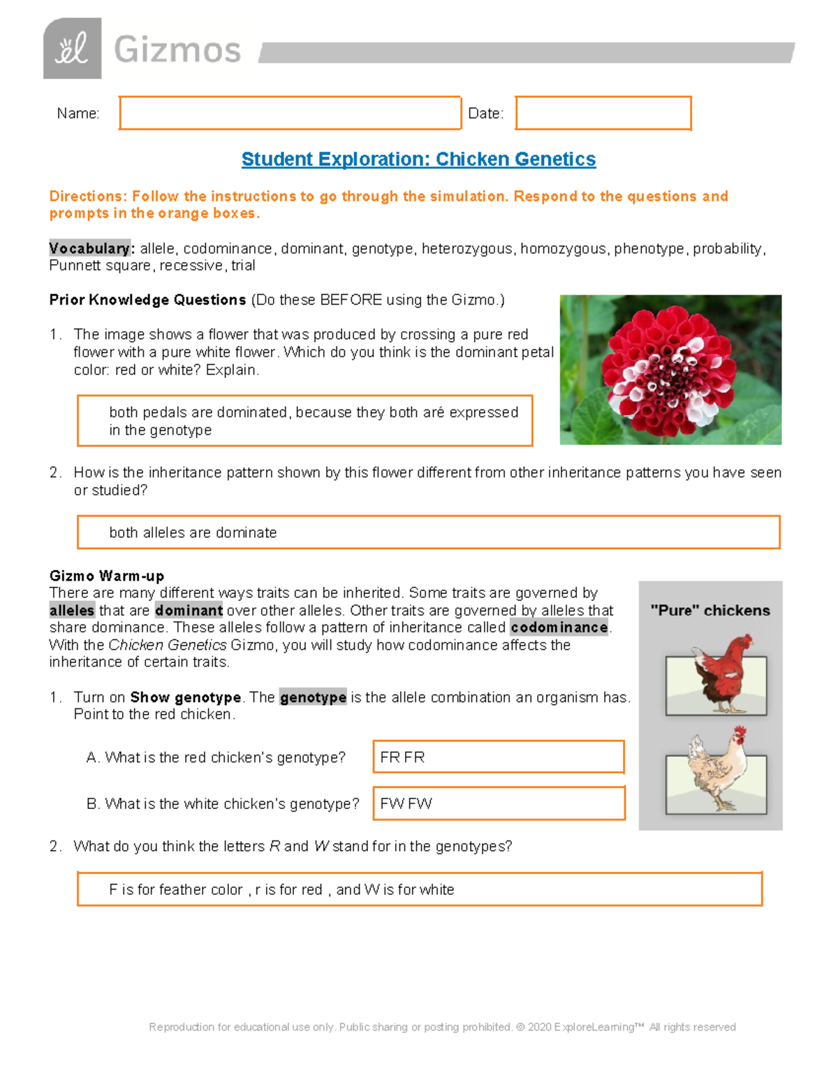 Gizmo: Chicken Genetics - Name: Date: Student Exploration: Chicken ...