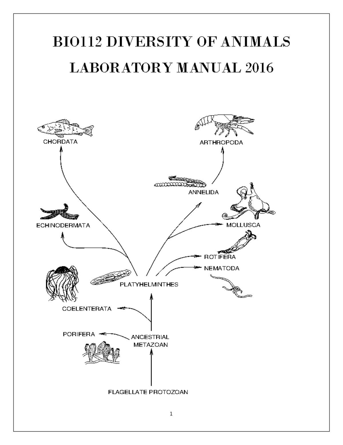 Animal Diversity LAB Manual 2016 - BIO112 DIVERSITY OF ANIMALS ...