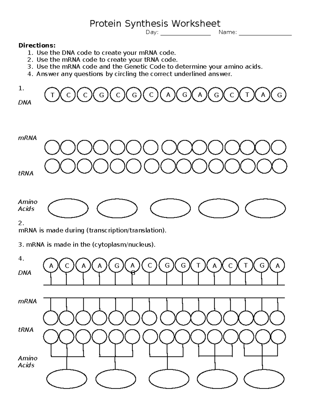 Visual Protein Synthesis Worksheet - Protein Synthesis Worksheet Day ...