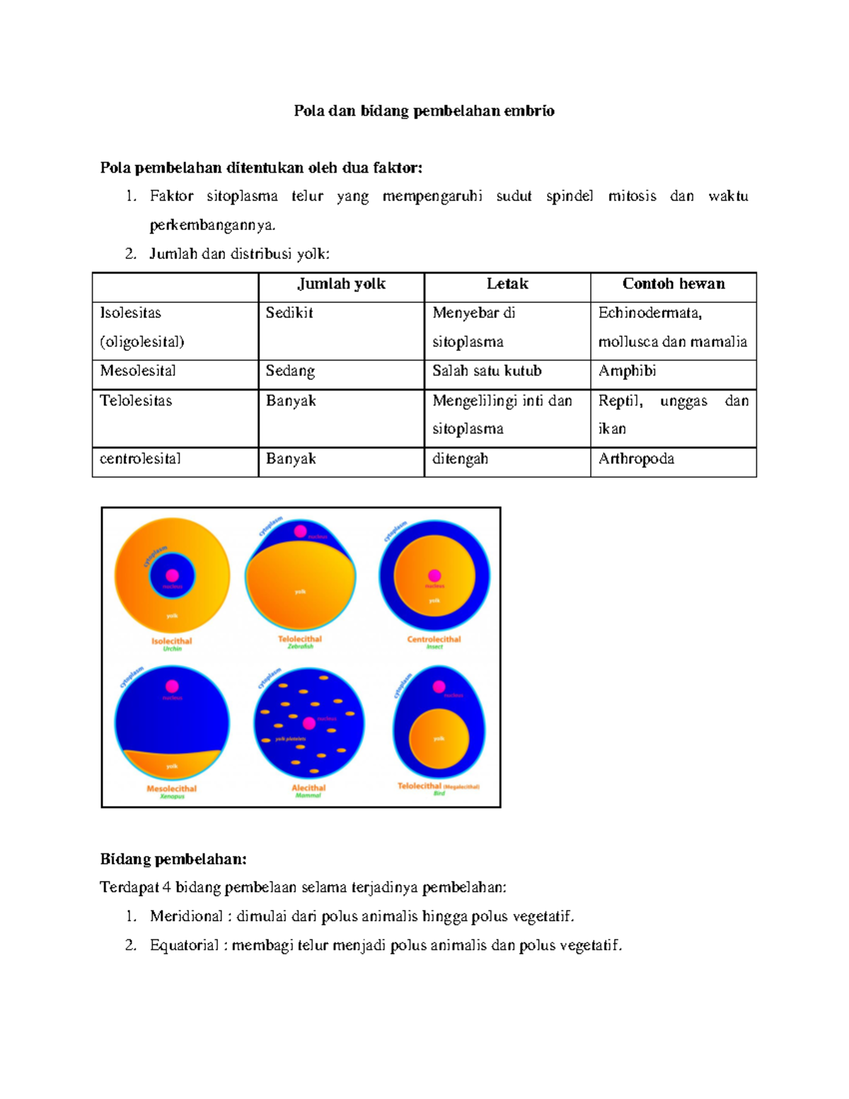 Pola dan bidang pembelahan embrio - Faktor sitoplasma telur yang ...