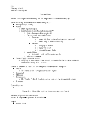 OHS - executive summary - EXECUTIVE SUMMARY This report outlines the ...