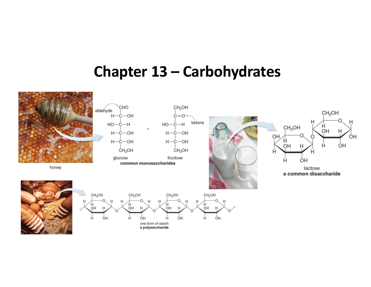 Chapter 13 Carbohydrates Shortened TL-1 - Chapter 13 – Carbohydrates ...