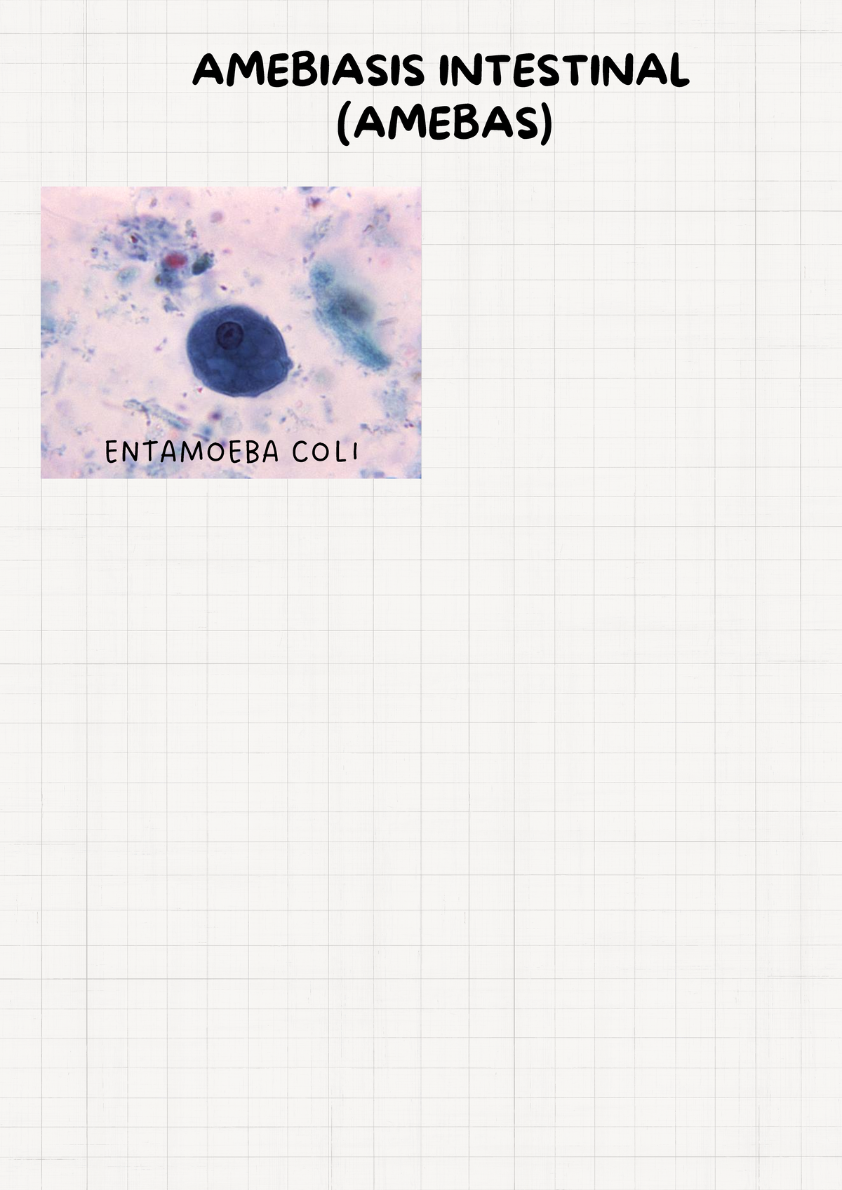Estructura de mapa mental - Parasitología - AMEBIASIS INTESTINAL ...