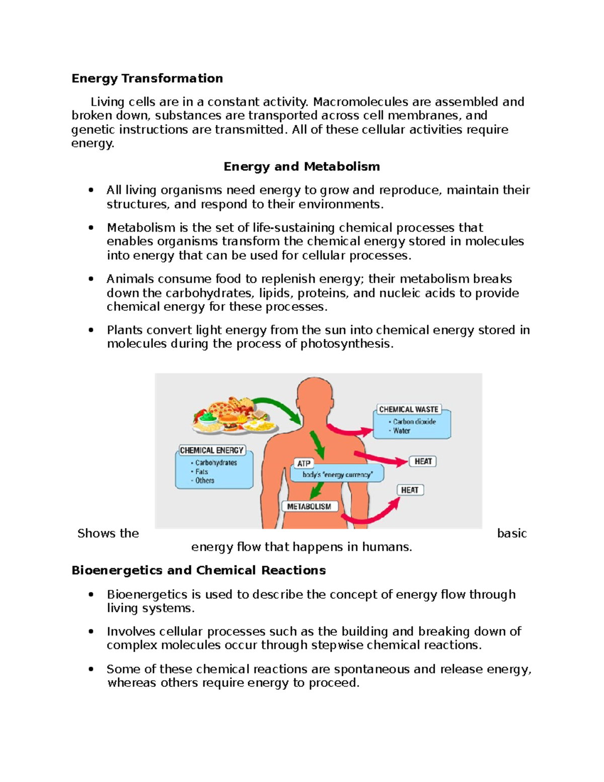 Transformation of Energy - Energy Transformation Living cells are in a ...