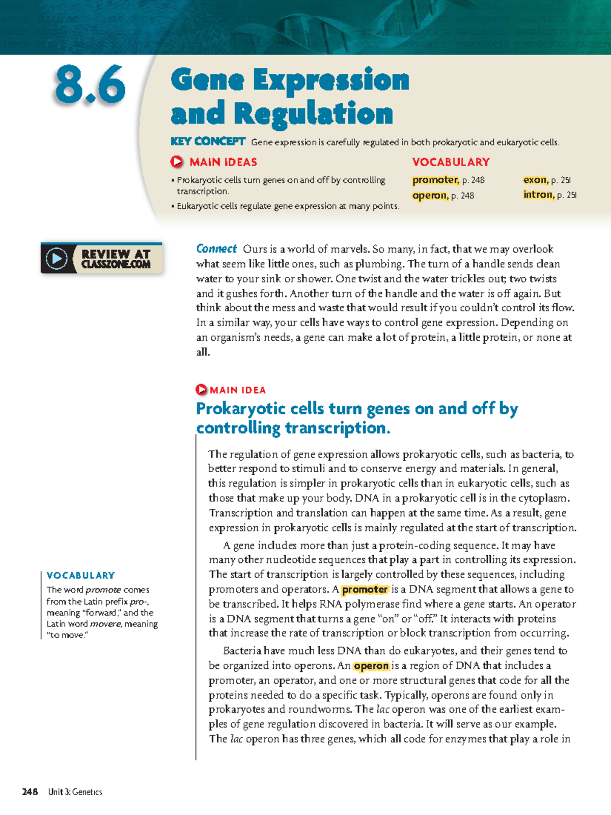 Ch 8 section 6 - VOCABULARY The word promote comes from the Latin ...