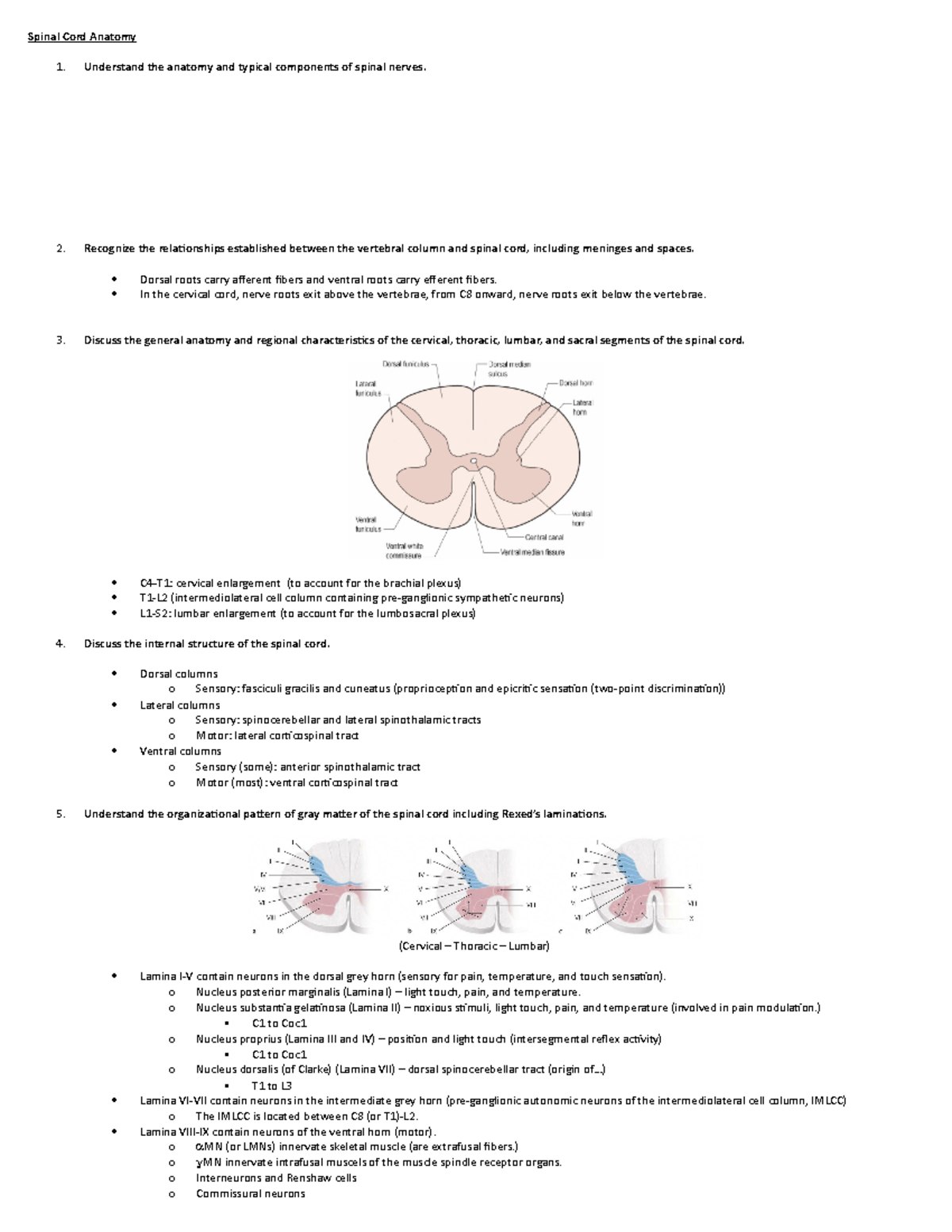 Spinal Cord Anatomy - Lecture notes 10 - Spinal Cord Anatomy Understand ...