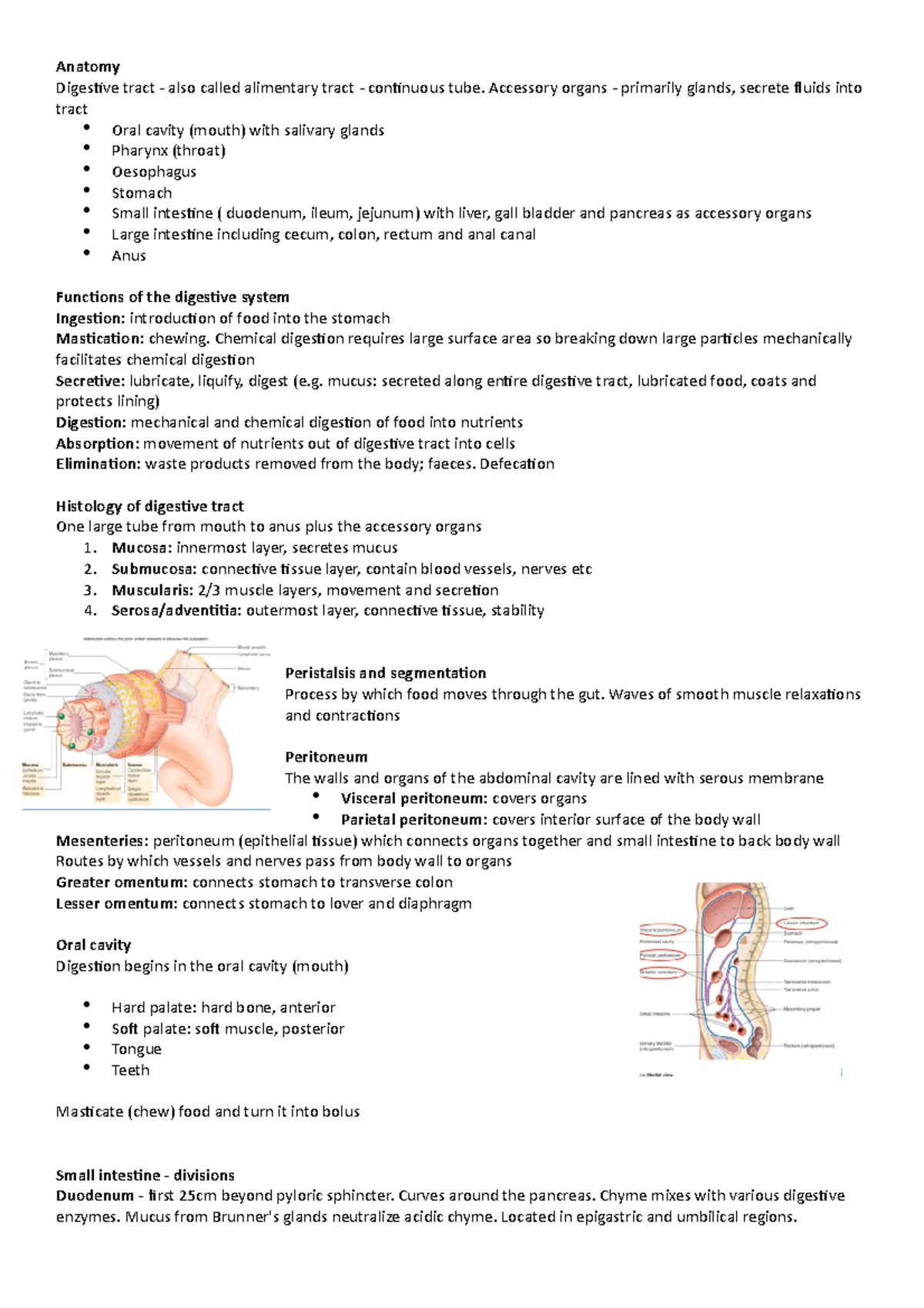 Module 3 - lecture notes on compendium 3 - Anatomy Digestive tract ...