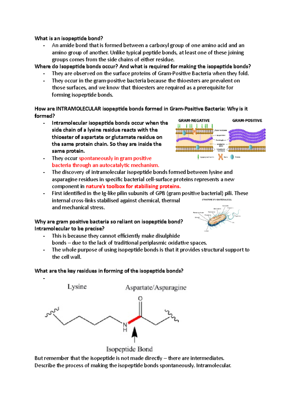 Protein-Ligand Interaction Lecture 2 - What is an isopeptide bond? - An ...