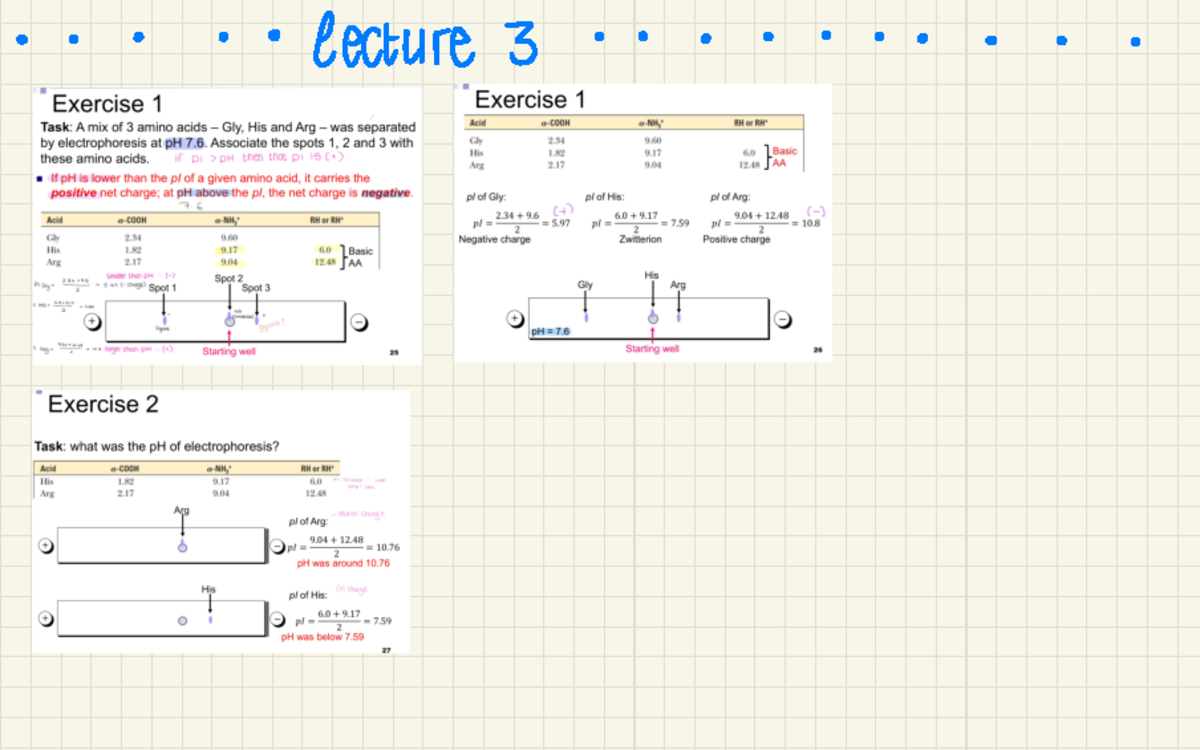 End Of Chapter Exercises and example questions - Lecture b LectureS ...