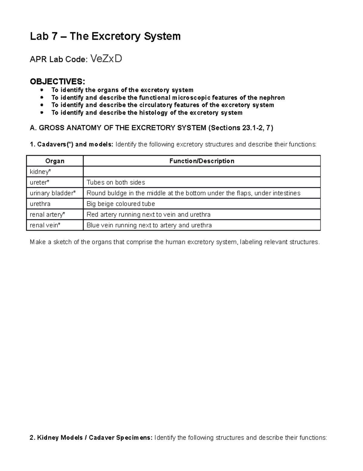 Lab 7 - The Excretory System - Lab 7 – The Excretory System APR Lab ...