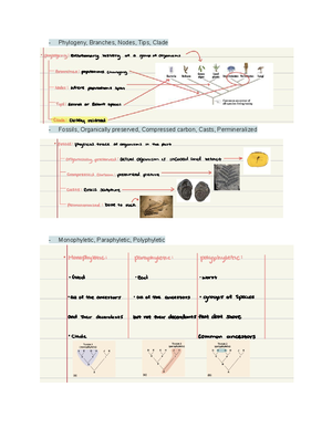 Evolution Module 2 - Module 2- Gene: DNA that codes for the phenotype ...