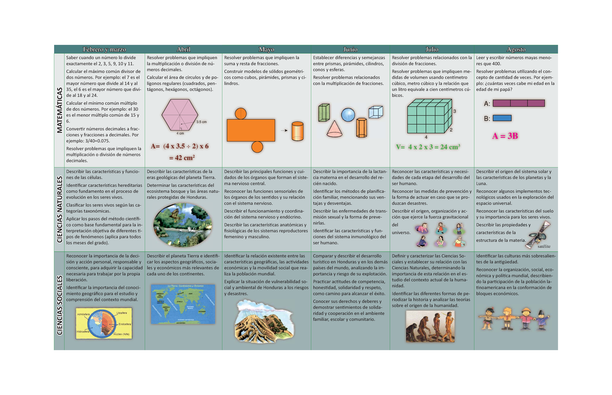 Estándares Mensuales Asignaturas Básicas 6° Grado - Febrero y ...