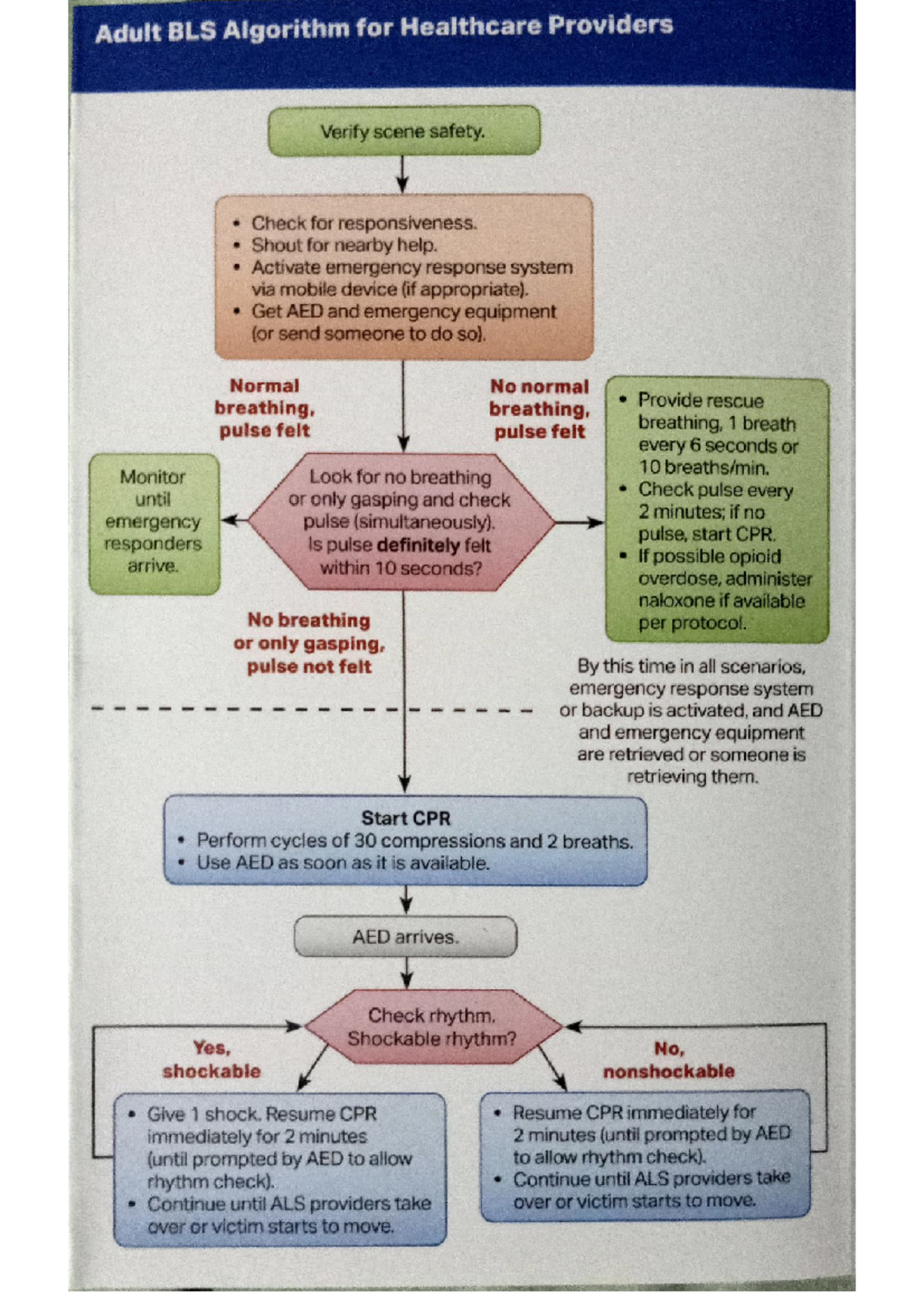 BLS algorithm - Steps of BLS - Bsc.nursing - Studocu