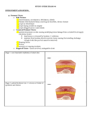 Respiratory only Worksheet - NAME ...