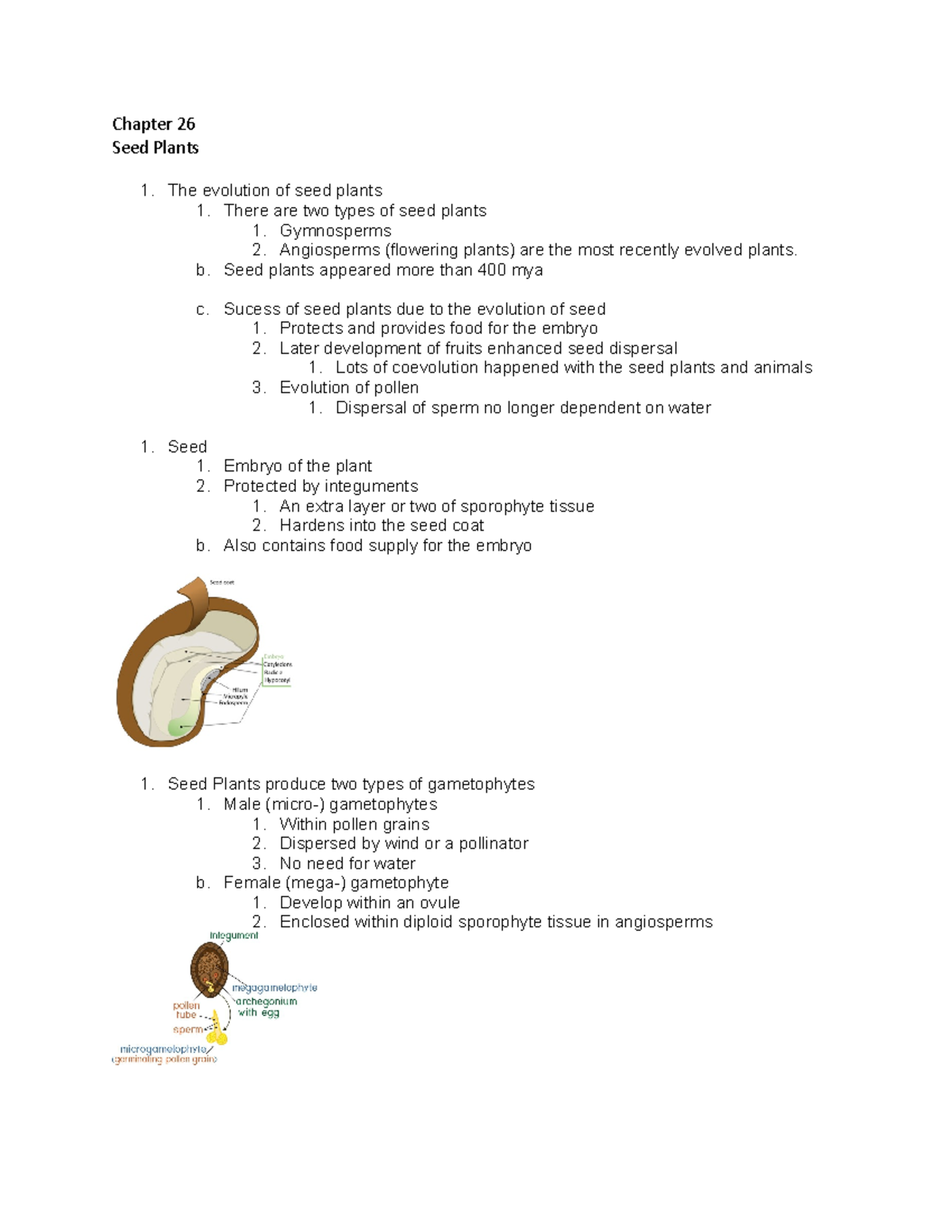 Chapter 26 - Seed Plants - Chapter 26 Seed Plants The evolution of seed ...