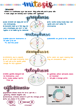 Cell Cycle Mitosis Meiosis Worksheet - Name: Daviyunna Reese The Cell ...