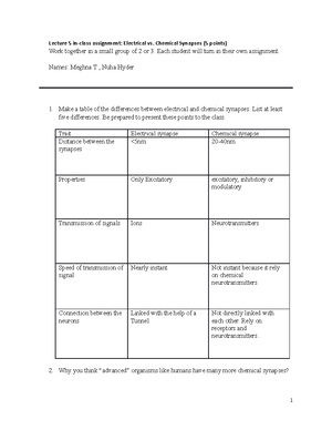 Lecture 11 Assignment - Visual perception - Each person will turn in ...