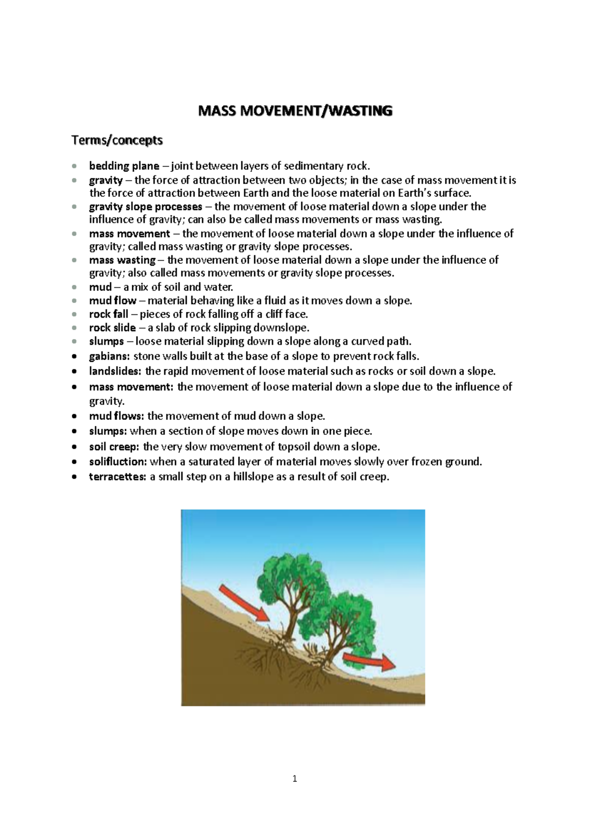 MASS Movement 2023 - MASS MOVEMENT/WASTING Terms/concepts bedding plane ...