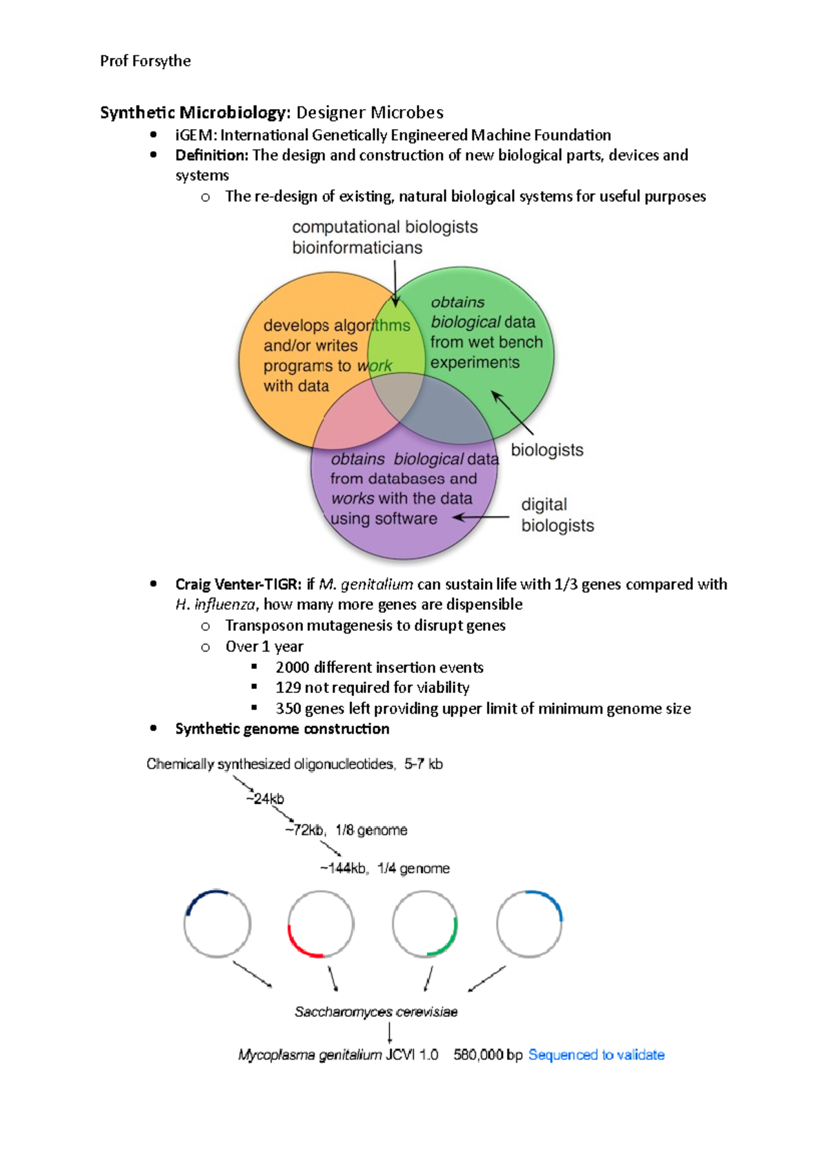Synthetic Microbiology - Professor Forsythe - Prof Forsythe Synthetic ...