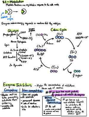 LAB 8 Sampling Techniques - Sampling Techniques Name: - Studocu