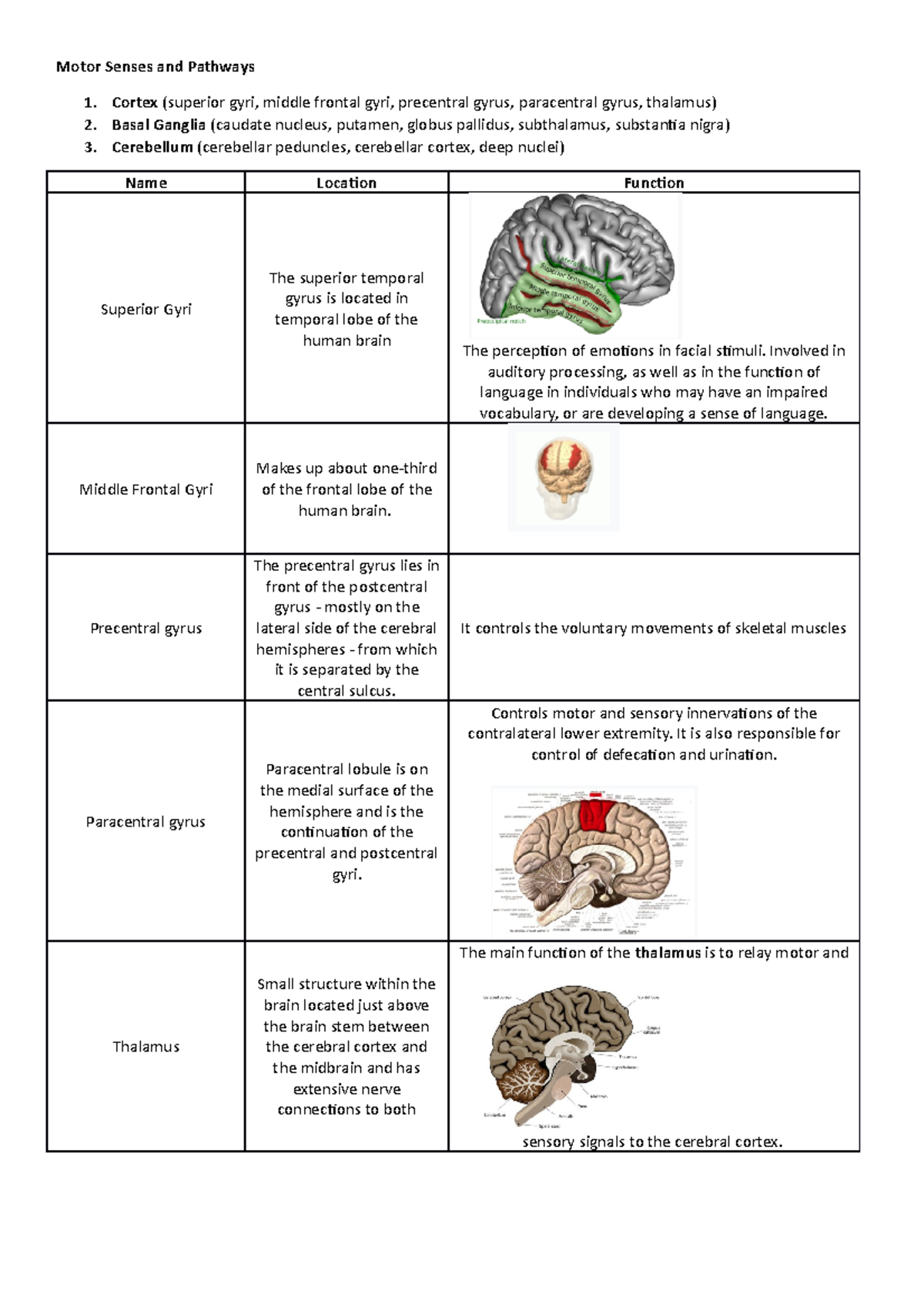 Motor Senses and Pathways - Cortex (superior gyri, middle frontal gyri ...